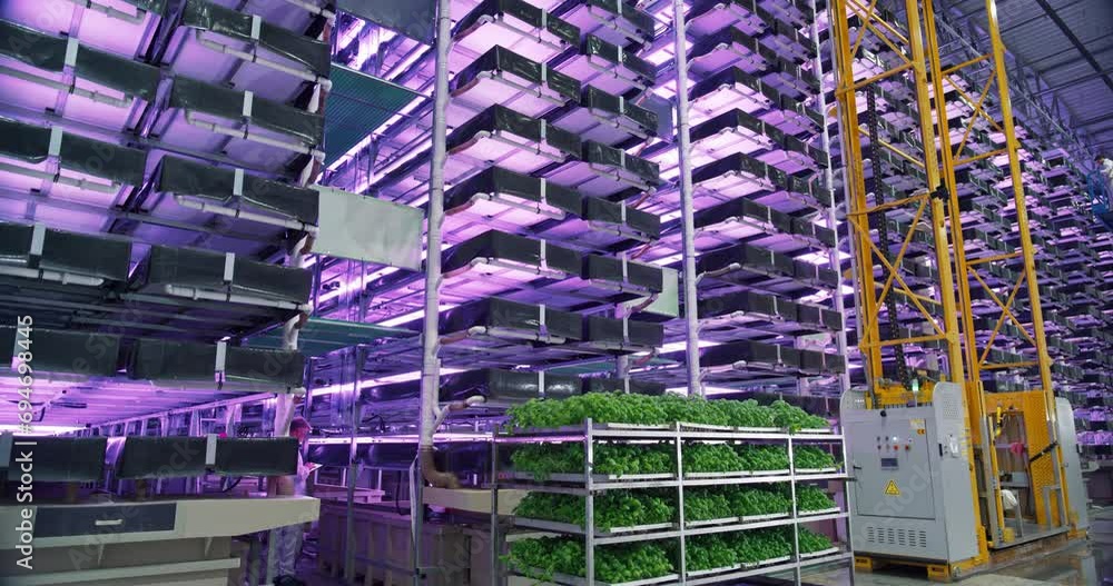Big Vertical Farm with Multiple Rows and Layers of Eco-Friendly Plants ...