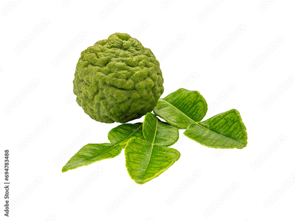 Kaffir lime with leaves on a transparent background. Stock Photo ...