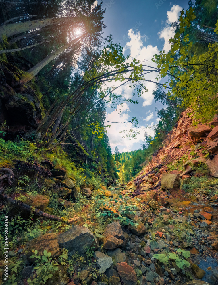 Astonishing view from the bottom of canyon to the top of trees. Great ...