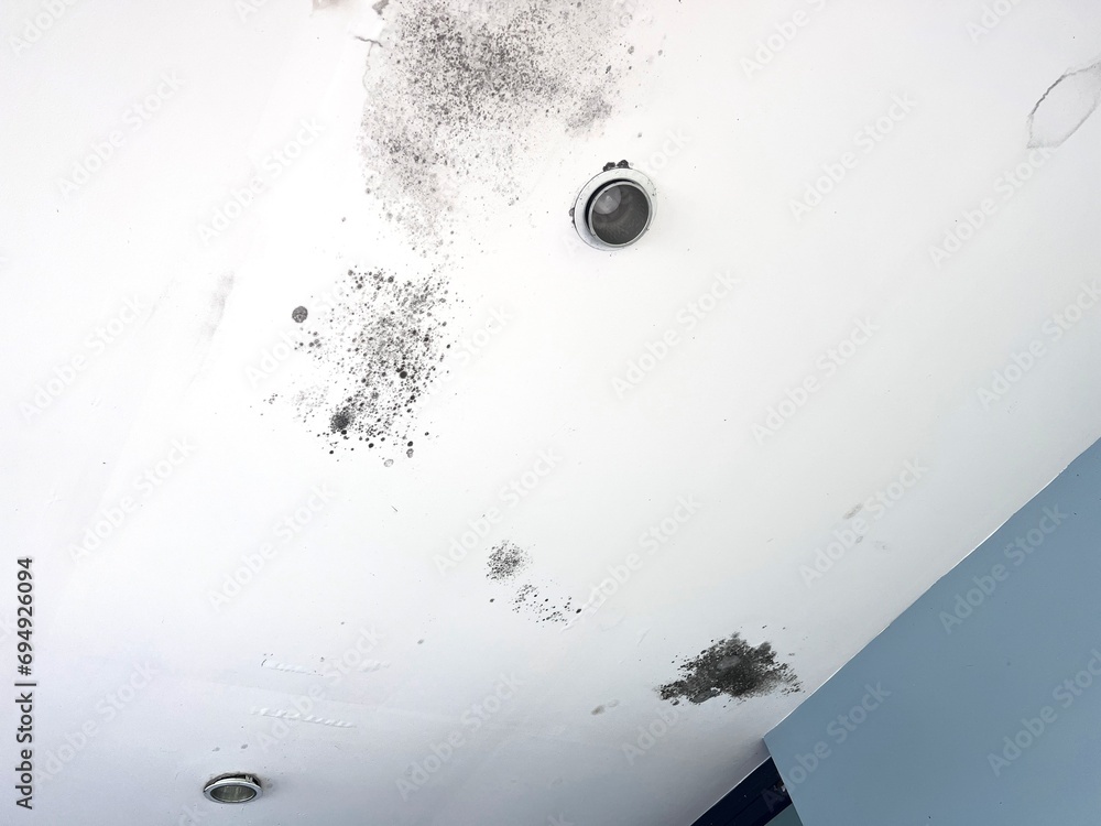 Black mold on the ceiling from poor roof installation or improper roof ...