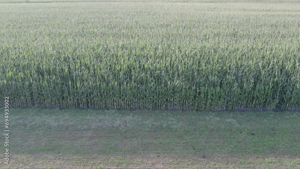 The drone footage showcases an expansive green crop field, with the ...