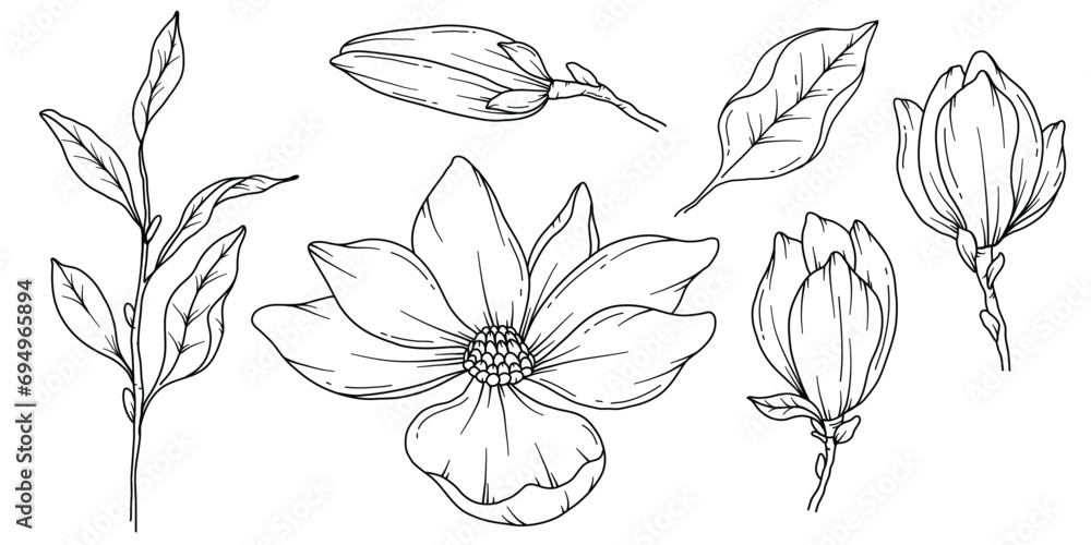 Magnolia Line Drawing. Black and white Floral Bouquets. Flower Coloring ...