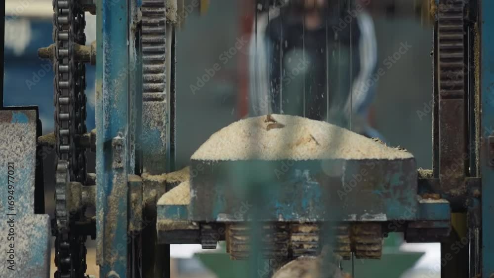 Wood Material Production By Automated Industrial Wood Cutting Saw ...
