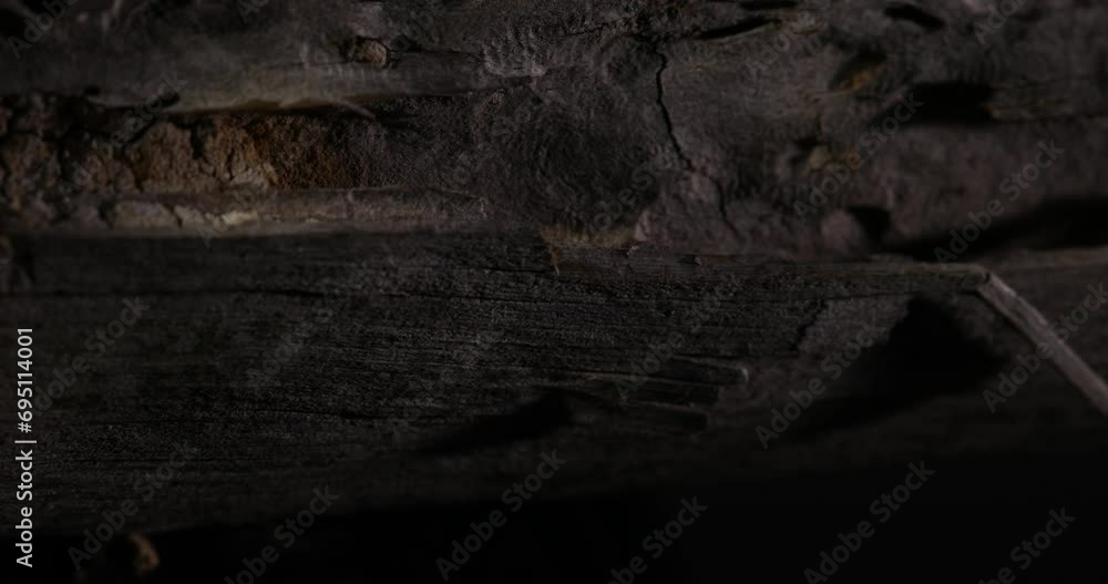 Texture of weathered old wood with scratches and cuts. Damaged aged ...