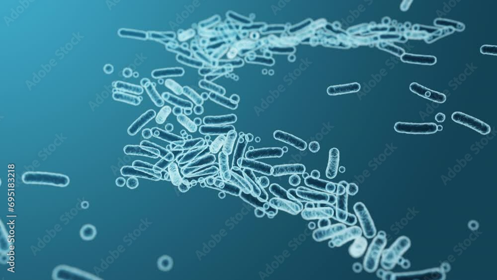 Enterobacteriaceae, gram-negative rod-shaped bacteria, part of ...