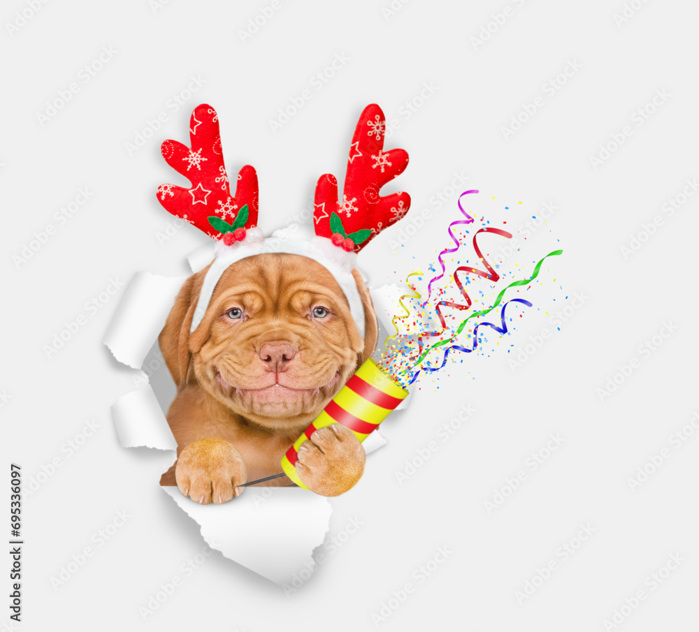 Smiling Mastiff puppy dressed like santa claus reindeer Rudolf looks ...