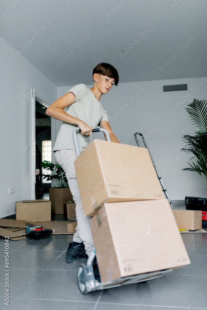 Full body of Teenage boy pushing cart with carton boxes Stock Photo ...