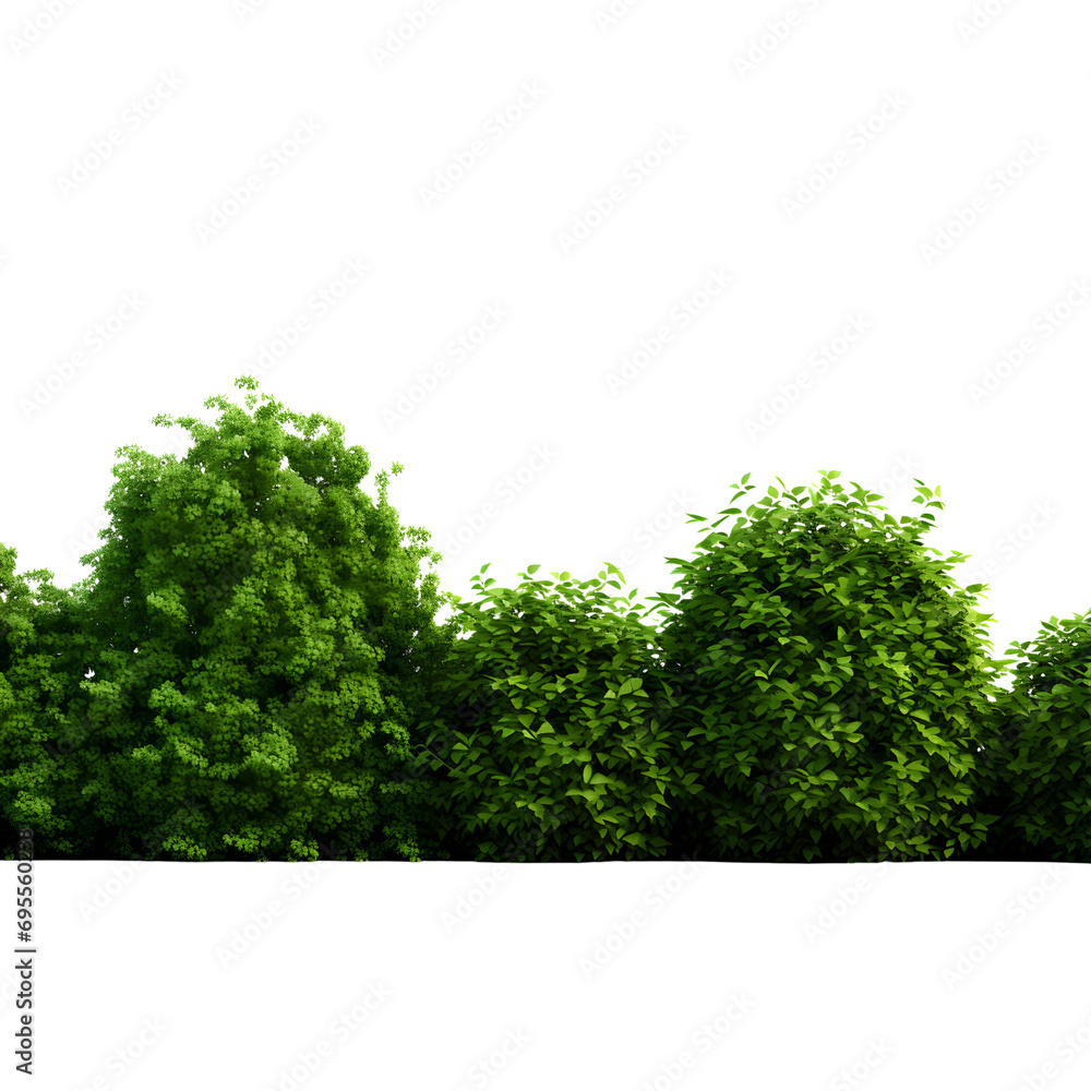 Tropical plant bush tree isolated on transparent background, cut out ...