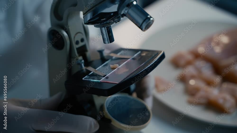 Microbiologist analyzing meat sample structure and qualities during ...
