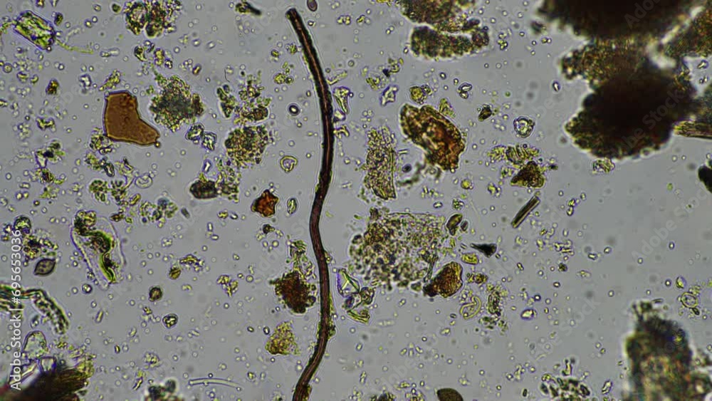 Soil under the microscopy, looking at sand, silt and clay and soil ...