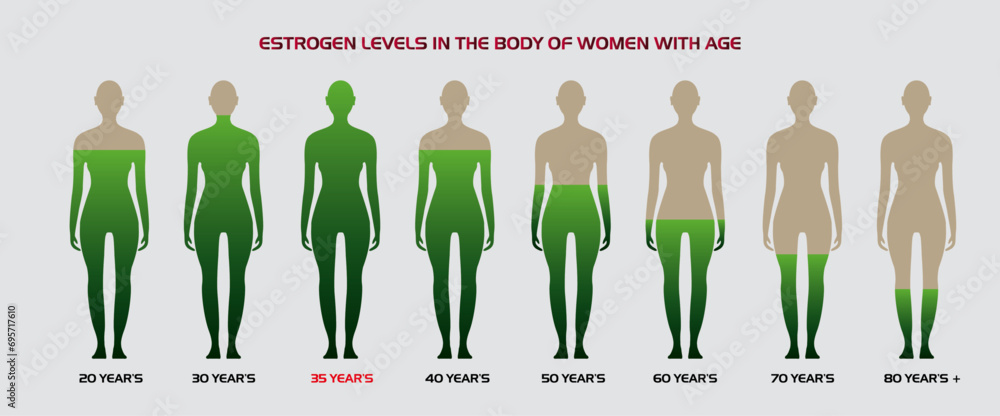 estrogen hormone level, High ,low, Female, Women menopause chart, woman ...