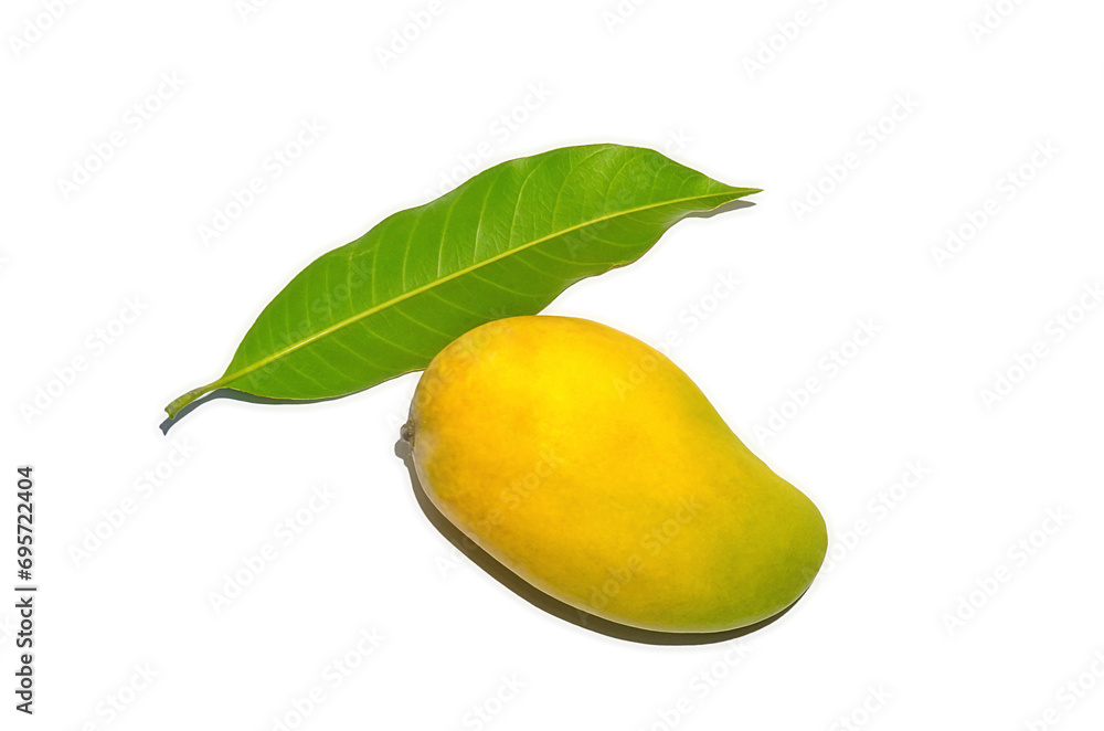 Mango fruit and Mango leaves for isolated the background on white ...