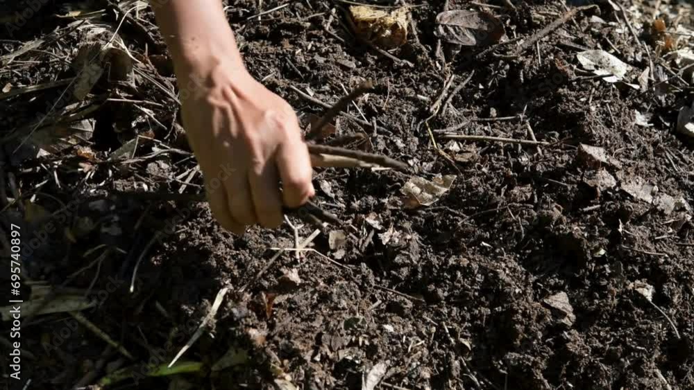 Vidéo Stock Hand hold compost fertilizer for planting plants. Top view ...