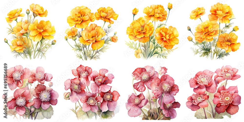 watercolor marigold and rafflesia flowersArtificial Intelligence Generative Stock Illustration ...