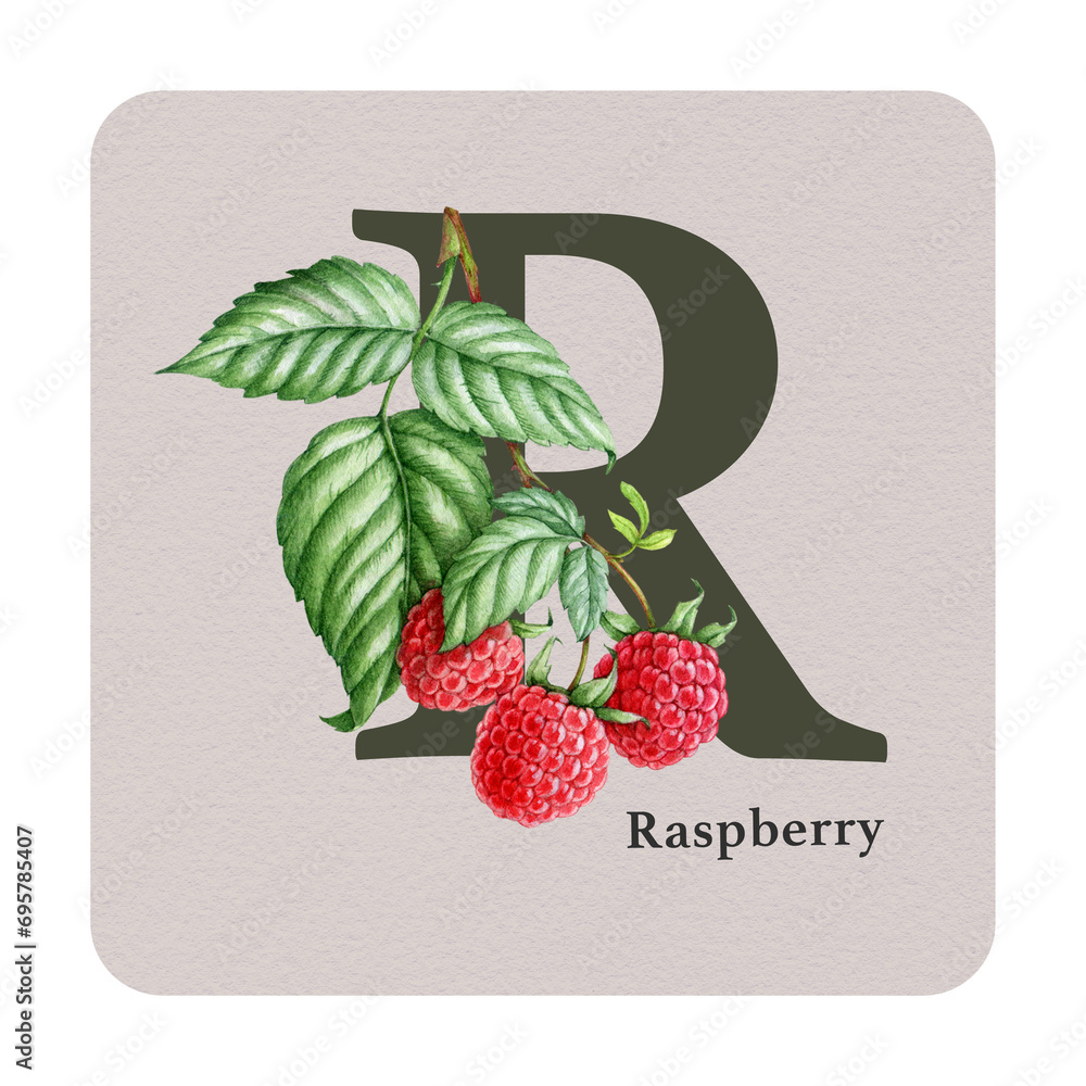 Letter R with raspberry decor on the square card. Watercolor ...