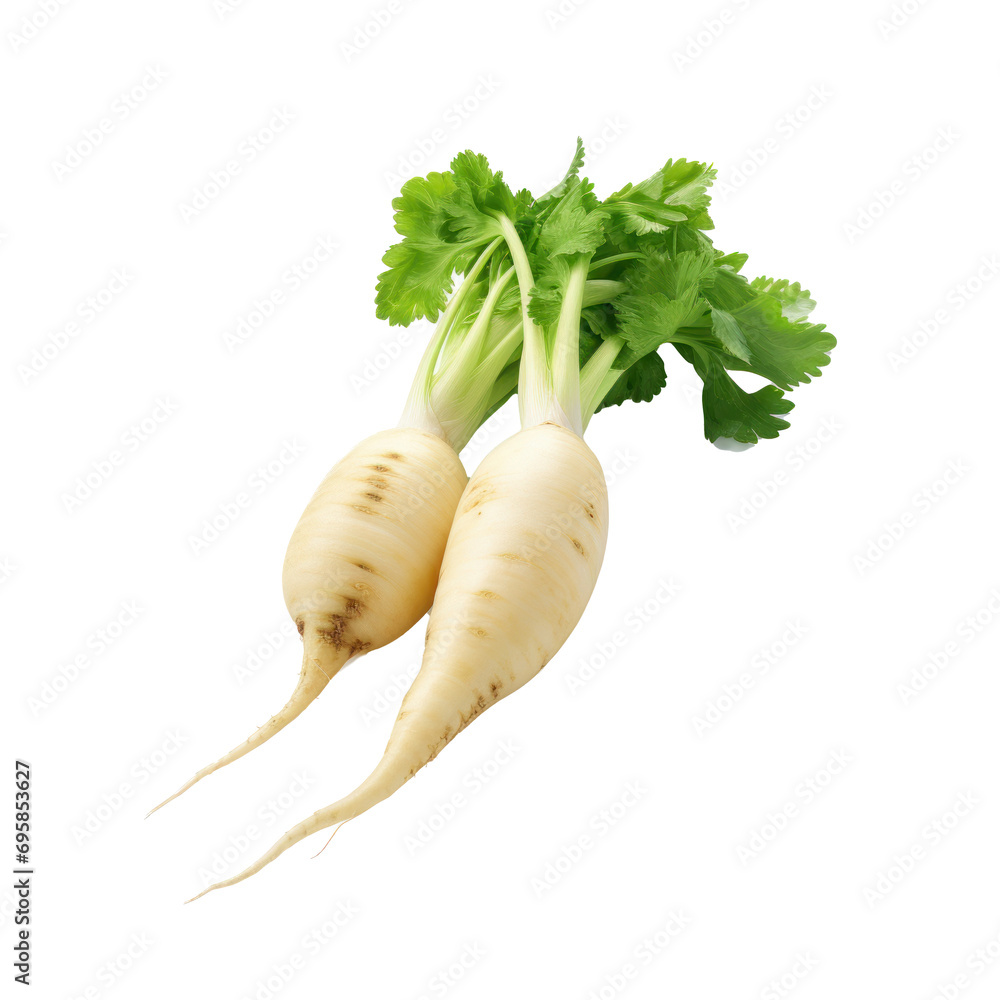 Daikon plant, also known as daikon radish, is an edible East Asian ...