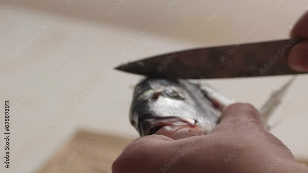 Vidéo Stock Descaled Fresh Fish Preparation on Board. Close-up, shallow ...