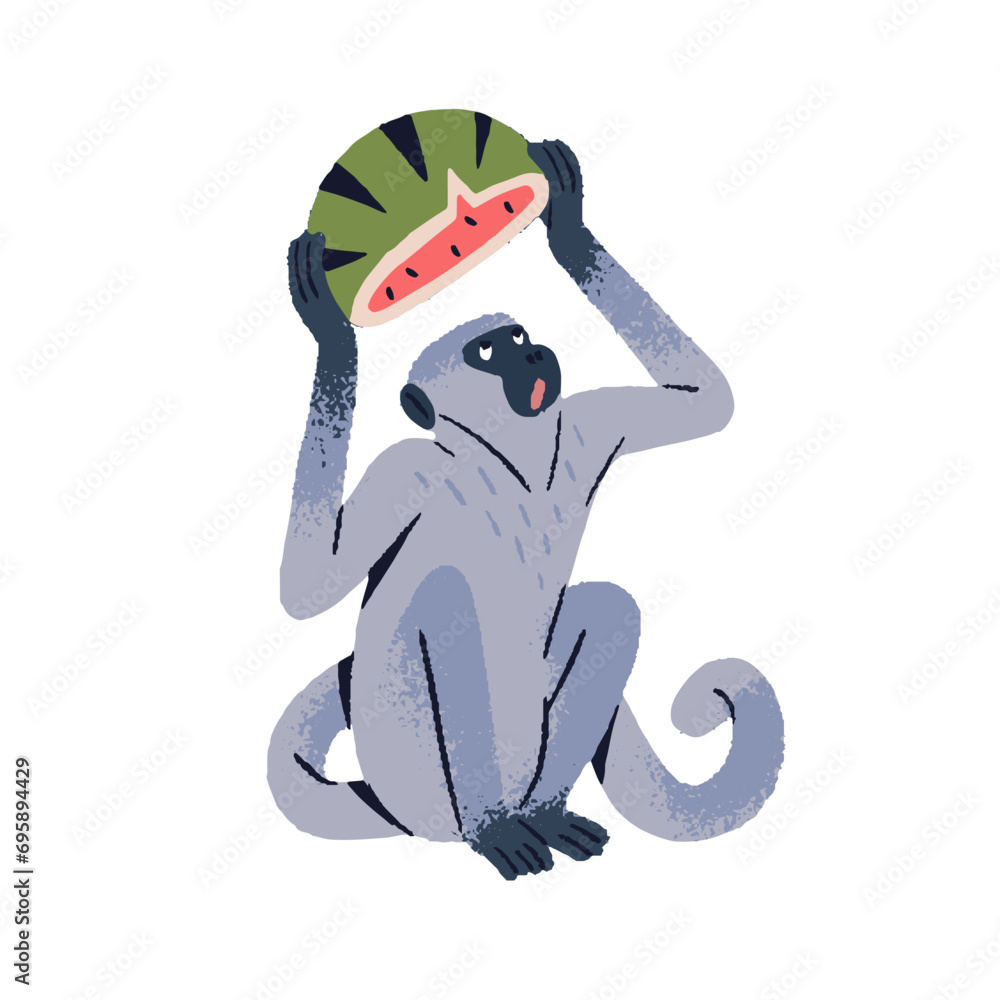 Vervet monkey staring looking on fruit. Puzzled primate holds ...