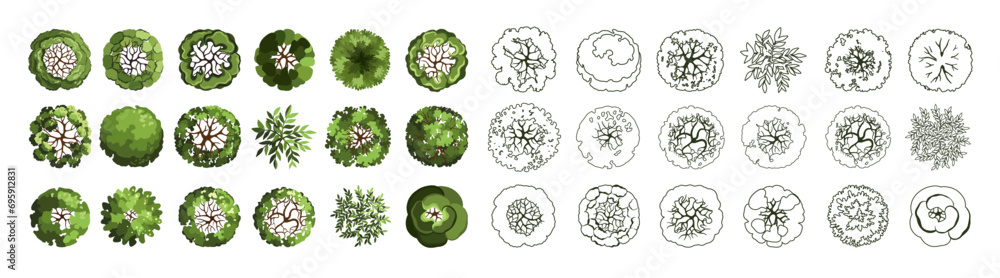 Tree for architectural floor plans. Entourage design. Various trees ...
