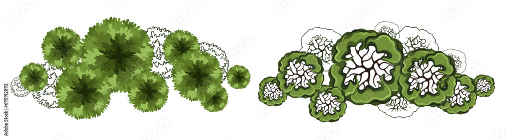 Tree for architectural floor plans. Entourage design. Various trees ...