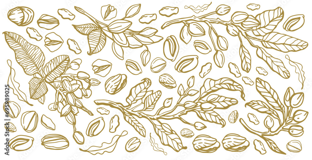 Vector hand drawn pistachio tree branch set with leaves and nuts ...