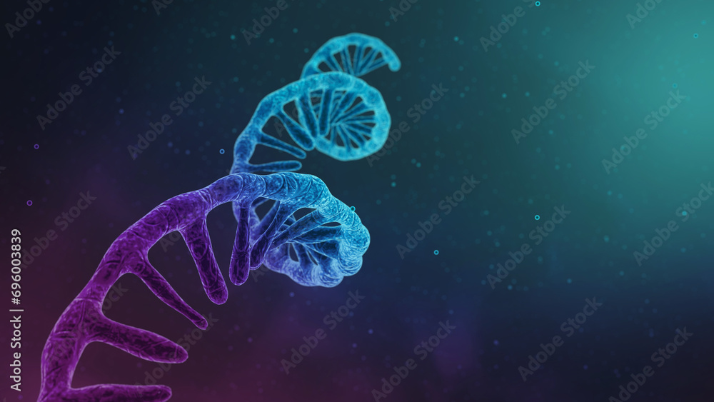 single helix - visualization of a unstable mRNA single-strand structure ...