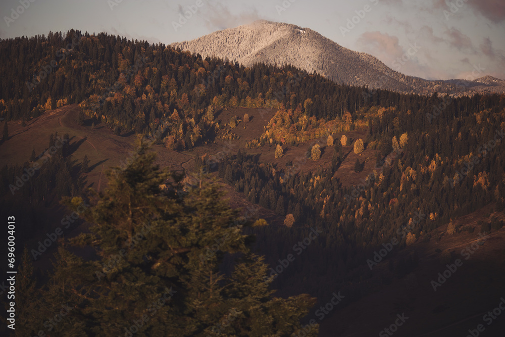Mountains forest landscape. temperate broadleaf and mixed forest with ...