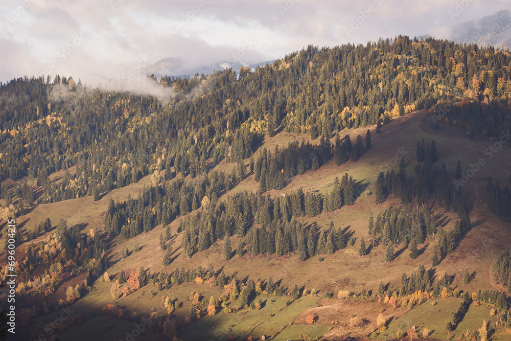 Mountains forest landscape. temperate broadleaf and mixed forest with ...