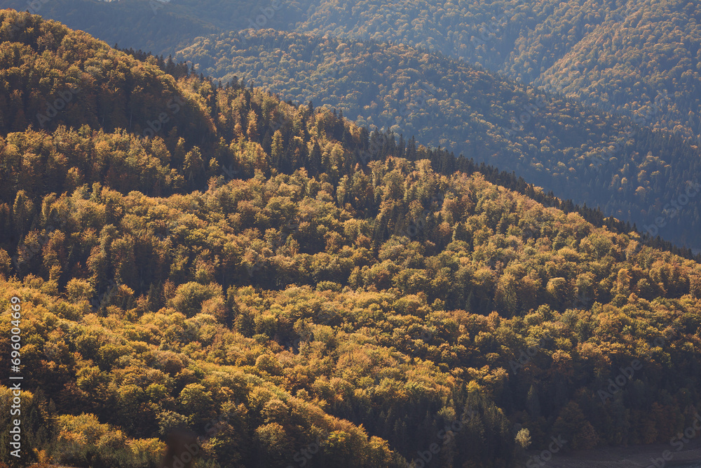 Foto de Mountains forest landscape. temperate broadleaf and mixed ...