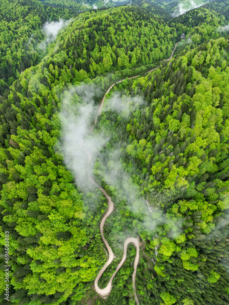 Aerial vertical drone panorama above a dirt road winding through beech ...