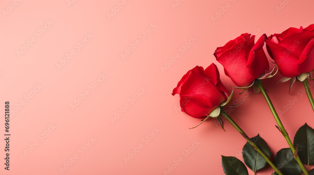 Fleurs, roses. Espace vide de composition. Ambiance chaleureuse. Saint ...