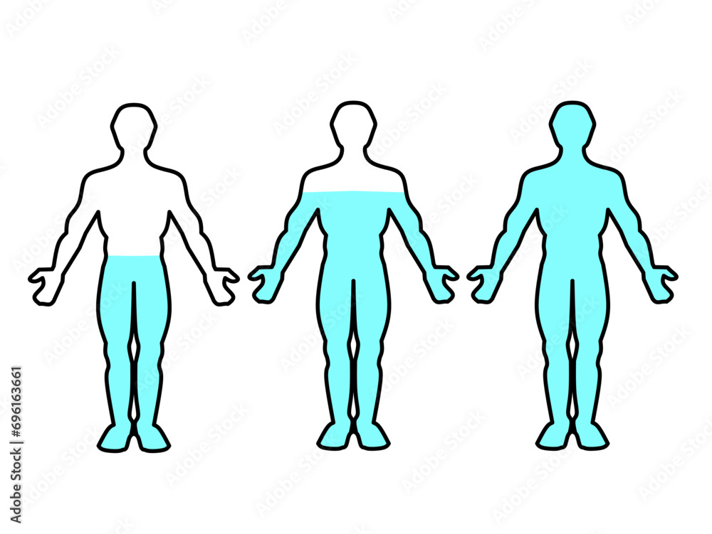 A measure of the water content in the human body. Line art vector ...