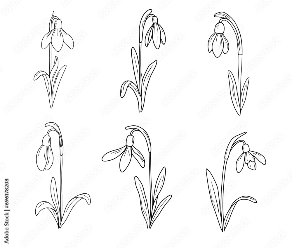 Flower snowdrop line art vector illustrations set. Hand drawn black ink ...