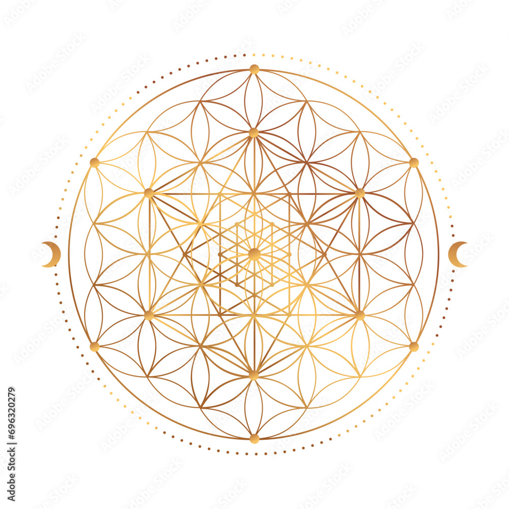 Sacred Geometry Symbol. Vector illustration. Mystic esoteric Flower of ...
