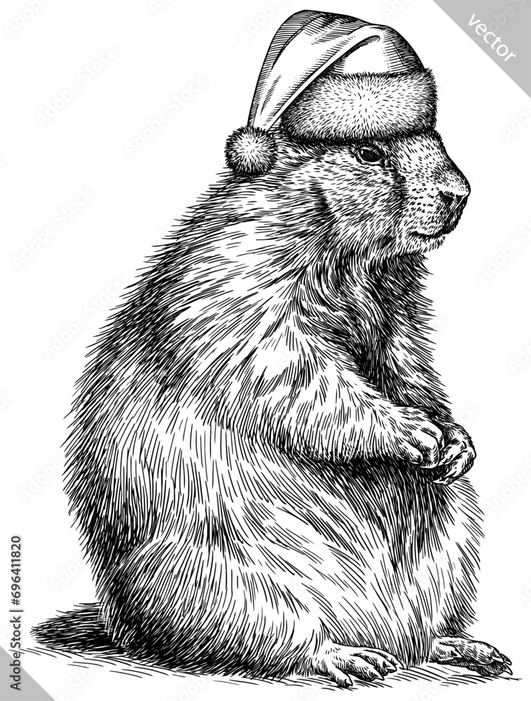 Vintage engraving isolated marmot set dressed christmas illustration ...