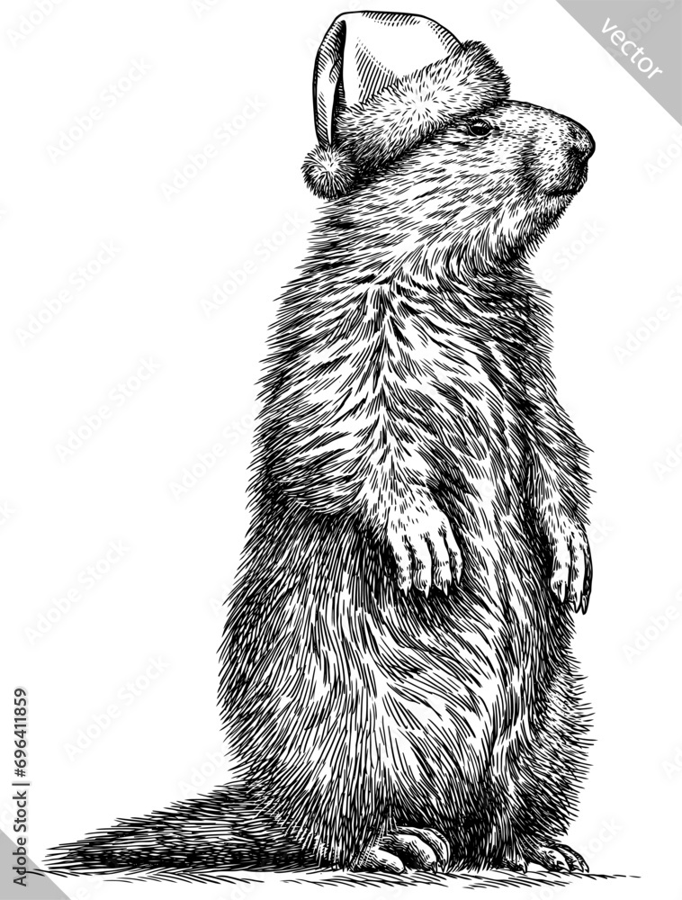 Vintage engraving isolated marmot set dressed christmas illustration ...