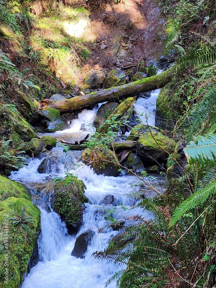 Water Water resources Plant Fluvial landforms of streams Natural ...