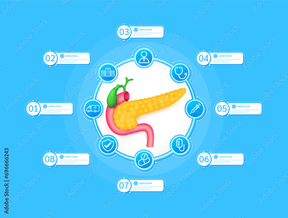 Pancreas health care infographic with presentation timeline steps ...