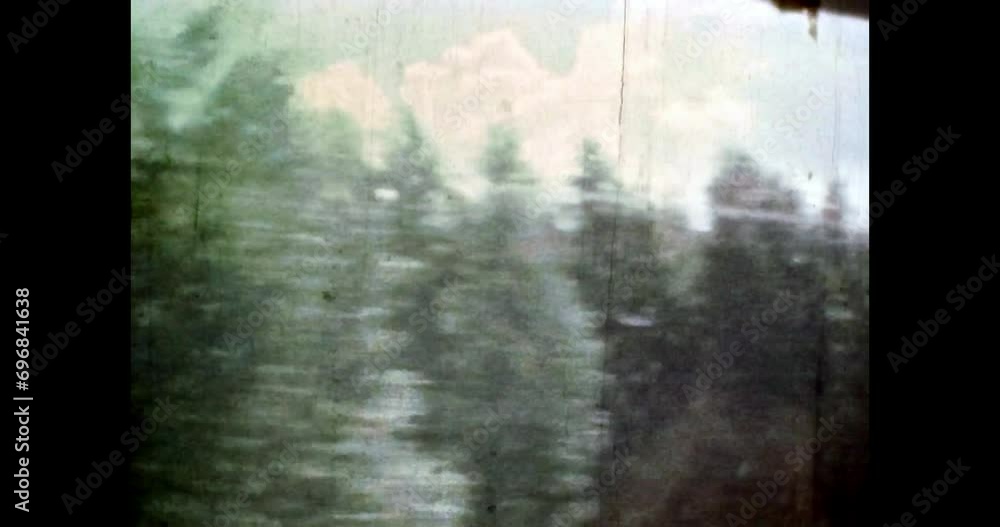 Spruce forest in motion on blue cloudy sky background. Green forest ...