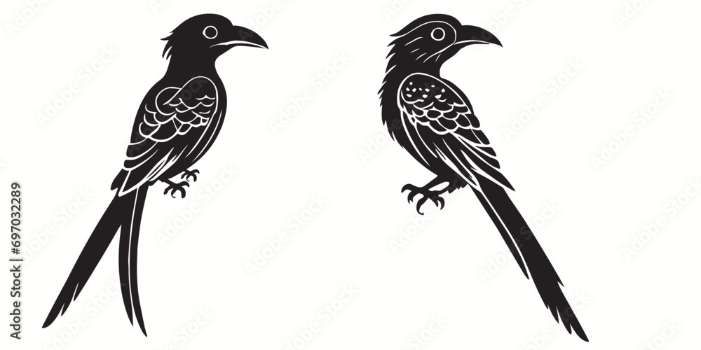 Quetzal silhouettes and icons. Black flat color simple elegant white ...