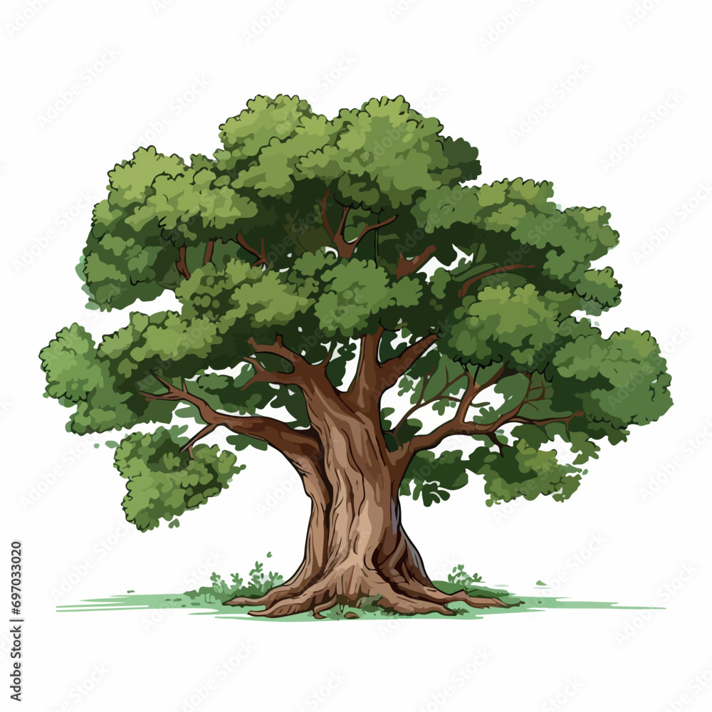 Oak tree flat vector illustration. Oak tree cartoon hand drawing ...