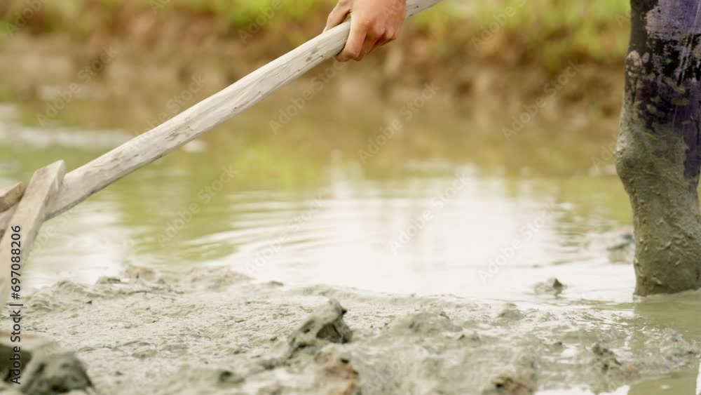 Wooden plank soil leveling of rice paddy field, sustainable farming ...