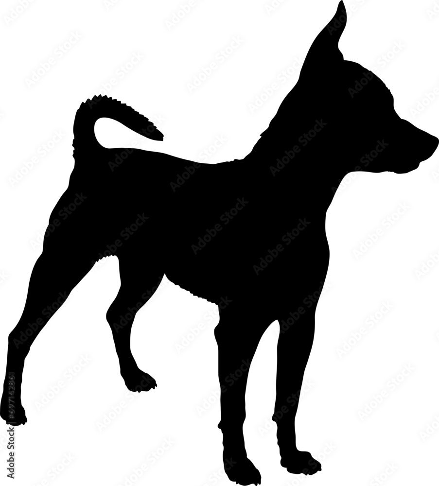 Dog Prague Ratter. silhouette Breeds Bundle Dogs on the move. Dogs in ...