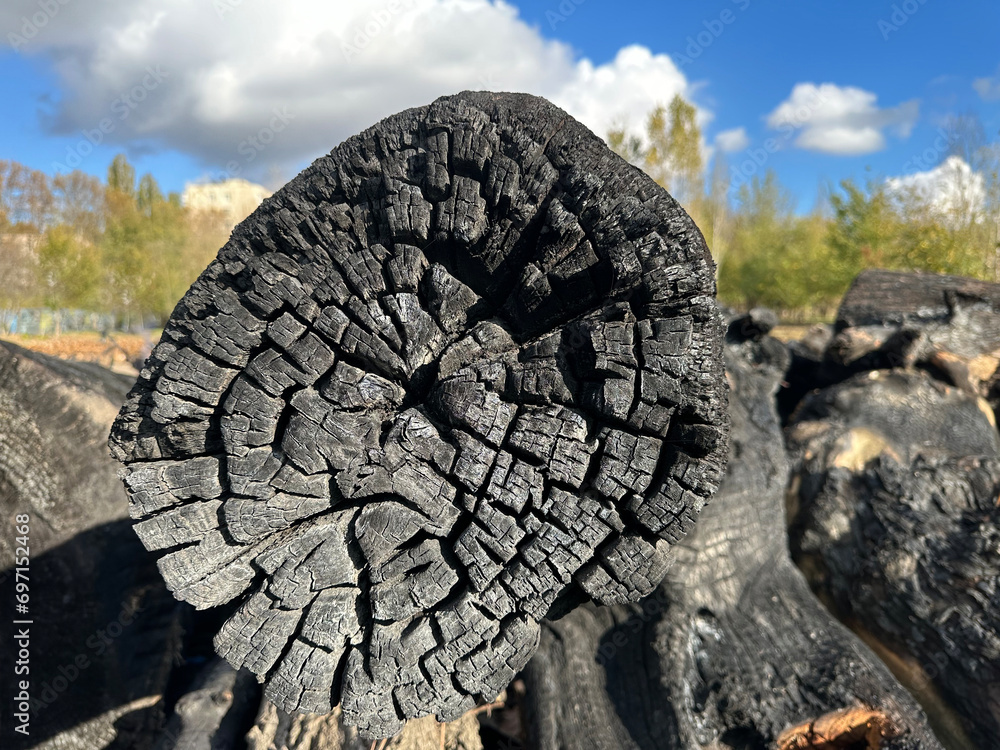 View of end of log house from charred tree log, black coal with deep ...