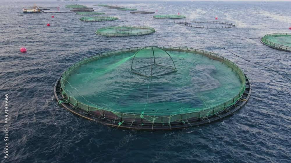 Salmon aquaculture fish farming with round cages for growing fish in ...