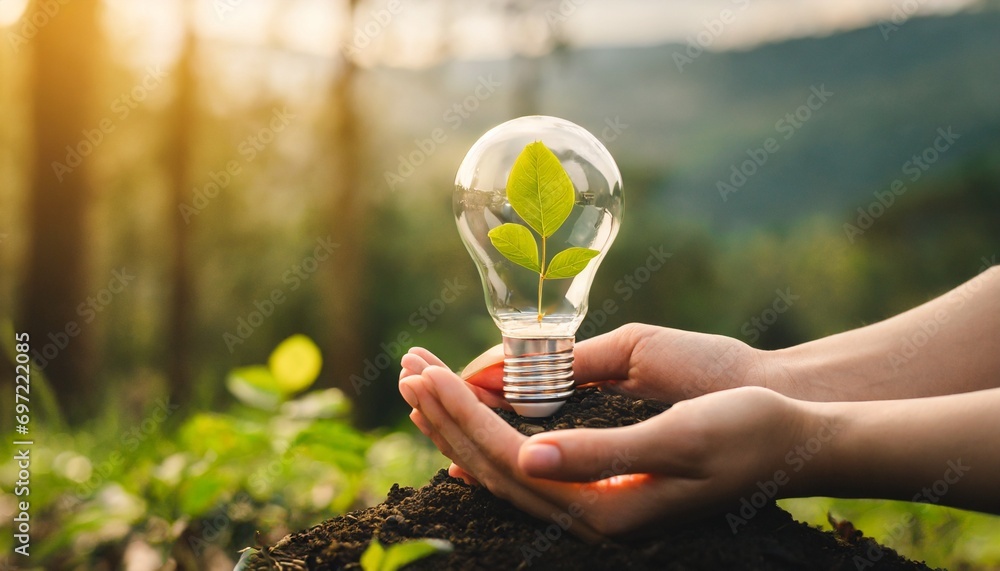 renewable energy light bulb with green energy earth day or environment ...