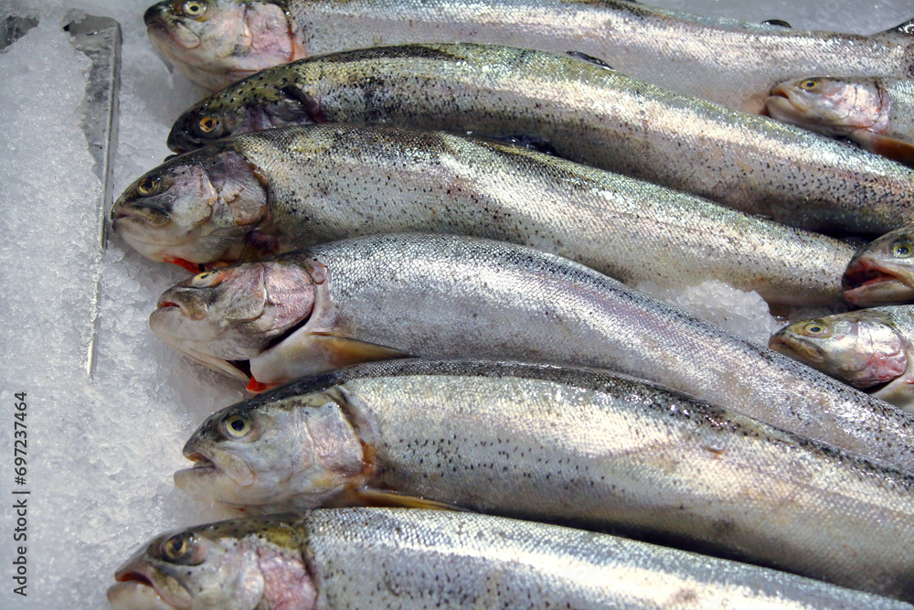 Fillet of Norwegian fish. Red fish.Silver carp.Gobusha steak. The pole ...