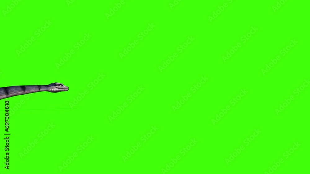 3D realistic anaconda snake crawling with side view entering the lift ...