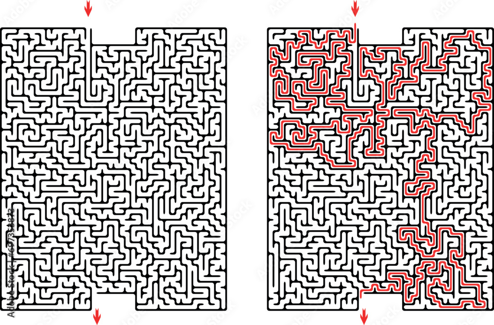 Vector rectangular labyrinth with entry and exit. Difficulty level - hard. Maze with solution ...