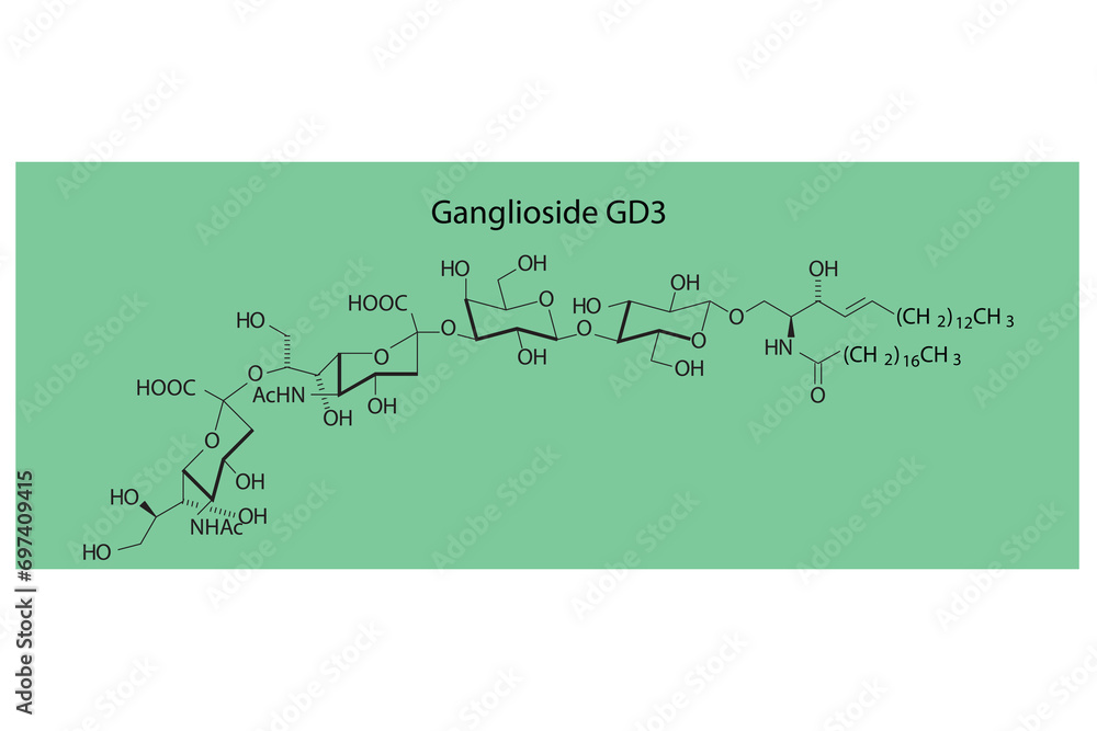 Molecular structure diagram of Ganglioside GD3 green Scientific vector ...